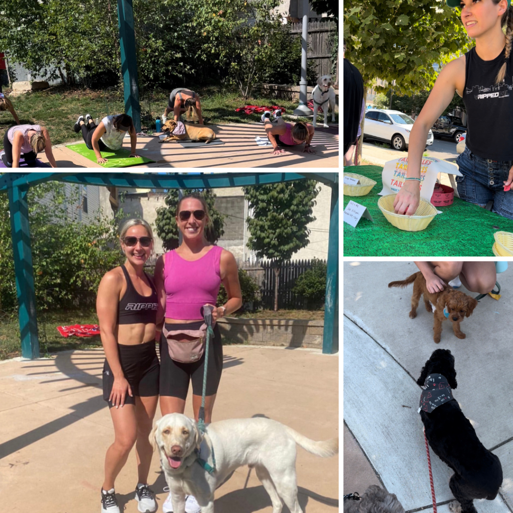 BYO-DOG Class! - RippedPHL